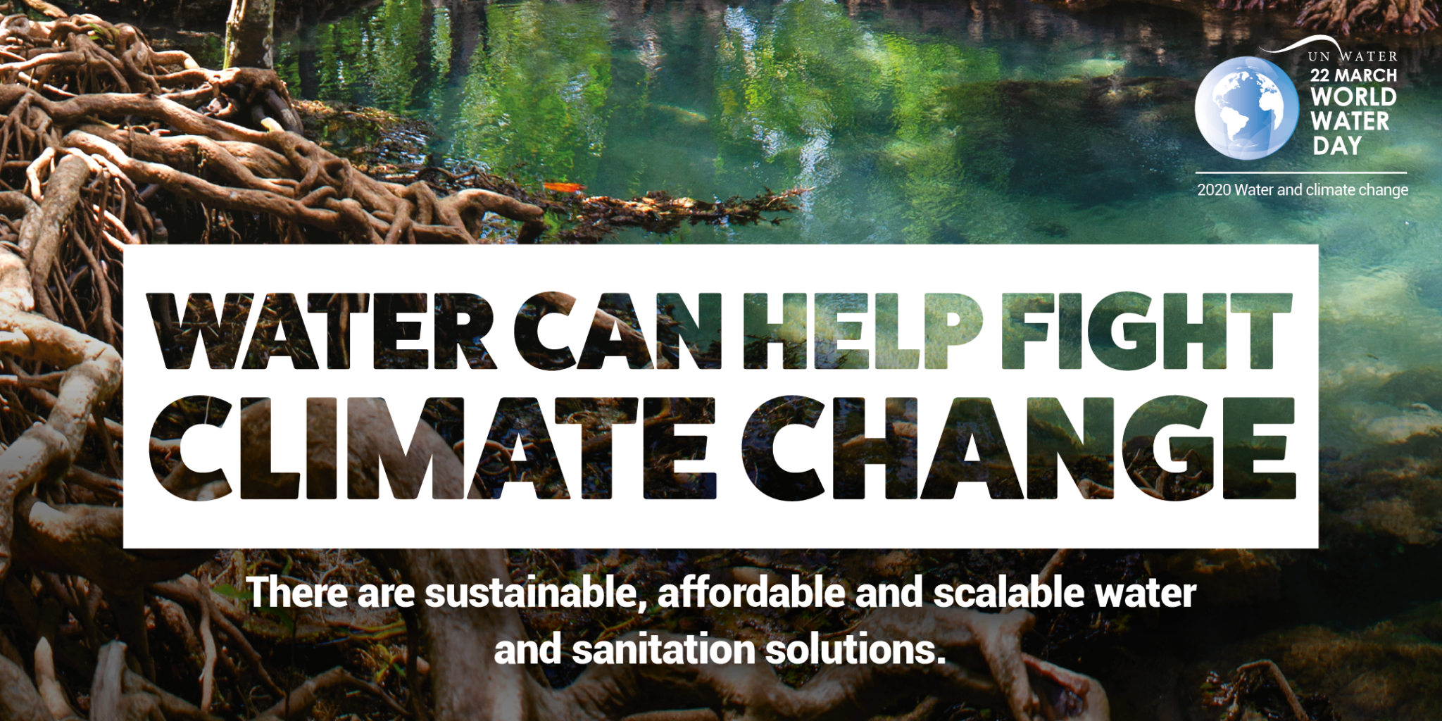 World Water Day: Water can help fight Climate Change - Surge For Water